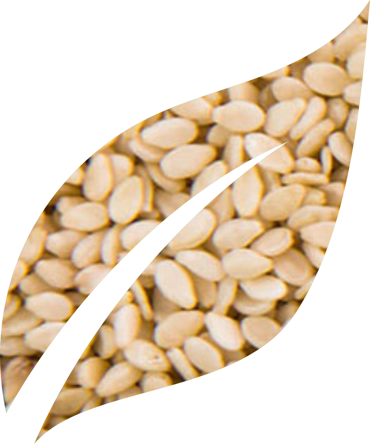 Our Products – M Lakhamsi Industries Limited